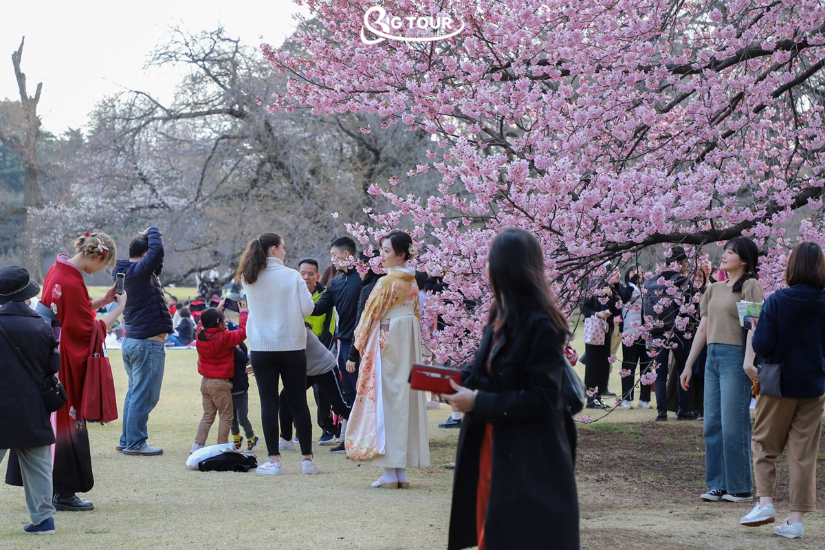 Khám Phá Các Địa Điểm Vui Chơi Hấp Dẫn Ở Tokyo Nhật Bản - CÔNG TY TNHH ...